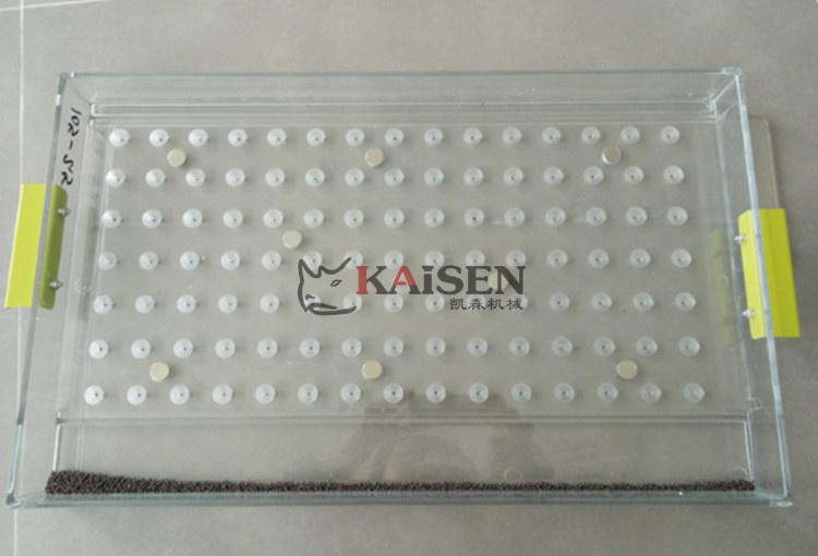 Kaisen Hole Seedling Trayes Seeder/ Float Tray