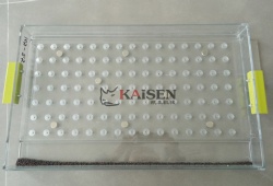 Kaisen Hole Seedling Trayes Seeder/ Float Tray
